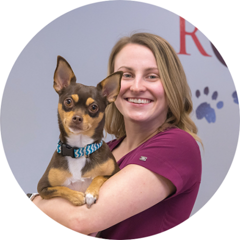 Rockford Animal Hospital